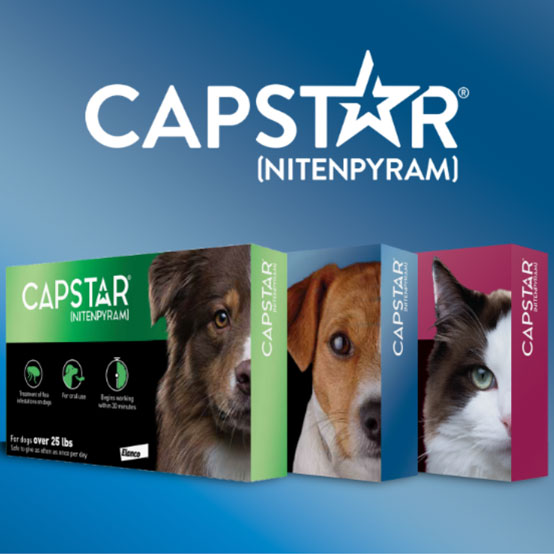 Capstar for Dogs & Cats - Raleigh, NC - Holly Springs, NC - Wake Forest ...