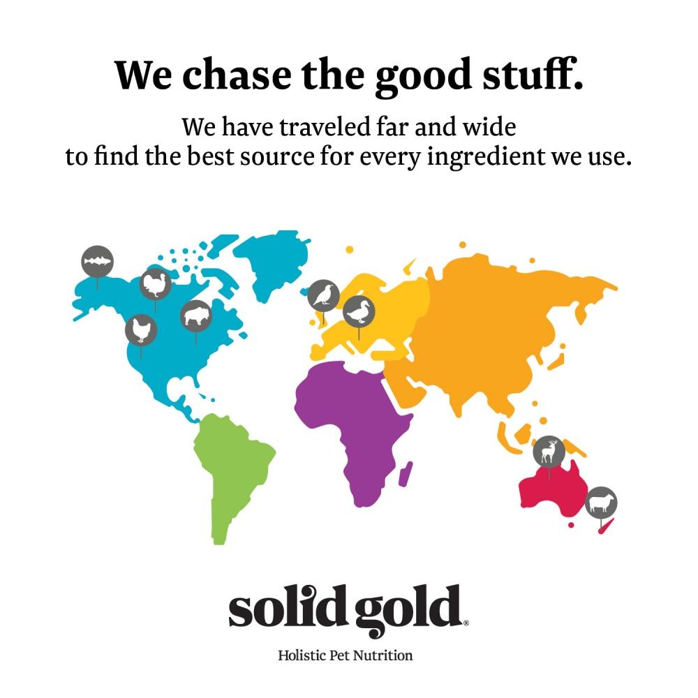 Solid Gold Tropical Blendz Grain Free Pate with Chicken Liver & Coconut ...