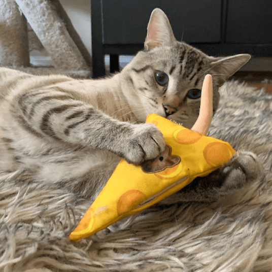 Meowijuana Get Cheezy Refillable Cheese & Mouse Cat Toys - Raleigh, NC ...