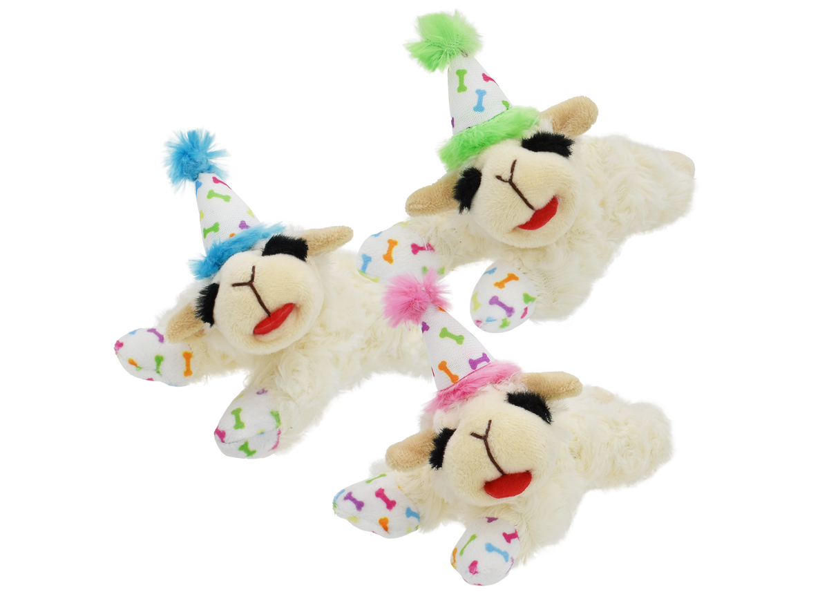 MultiPet Lamb Chop® with Birthday Hat - Raleigh, NC - Holly Springs, NC ...